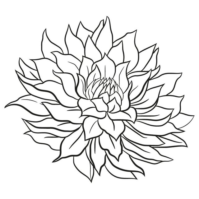 duncan edwards coloring pages